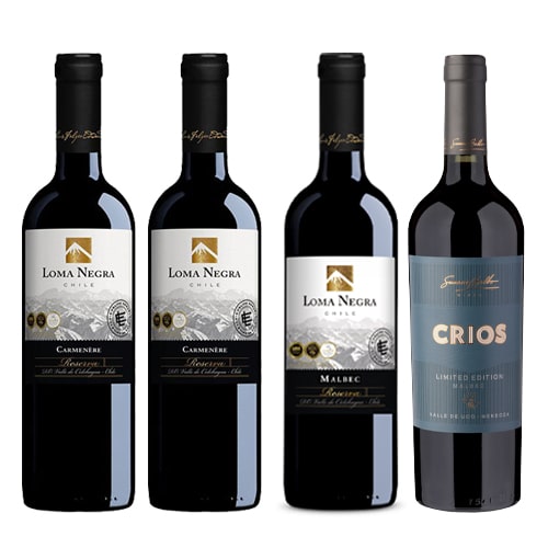Colección Del Sur V4 » Euro Wines